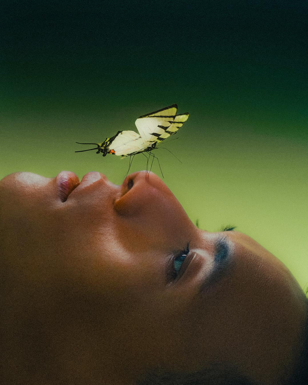 Collections – Futuremade Studio (FTMD.)