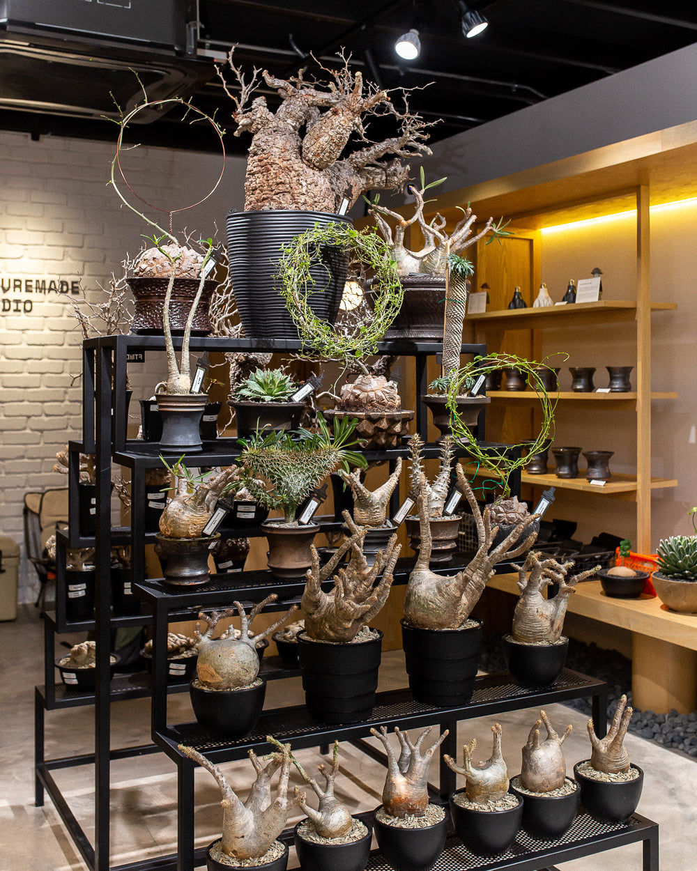 Collections – Page 2 – Futuremade Studio (FTMD.)