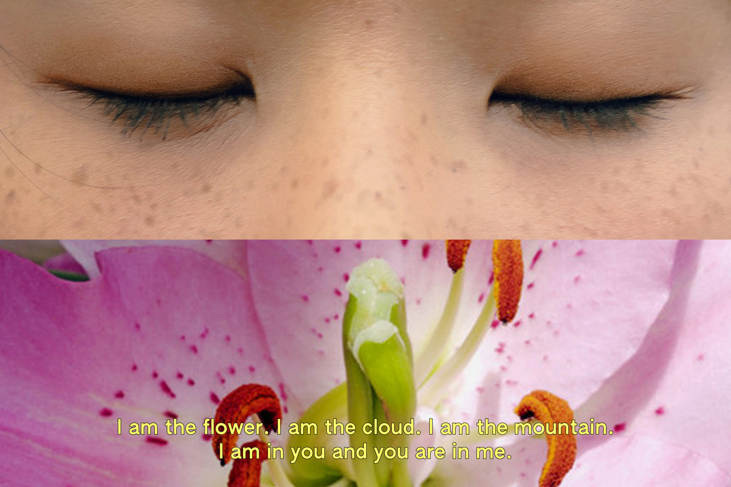 Futuremade Studio (FTMD.)