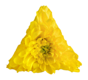 About Us - Futuremade Studio (FTMD.)