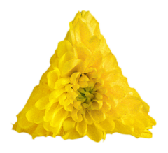 About Us - Futuremade Studio (FTMD.)